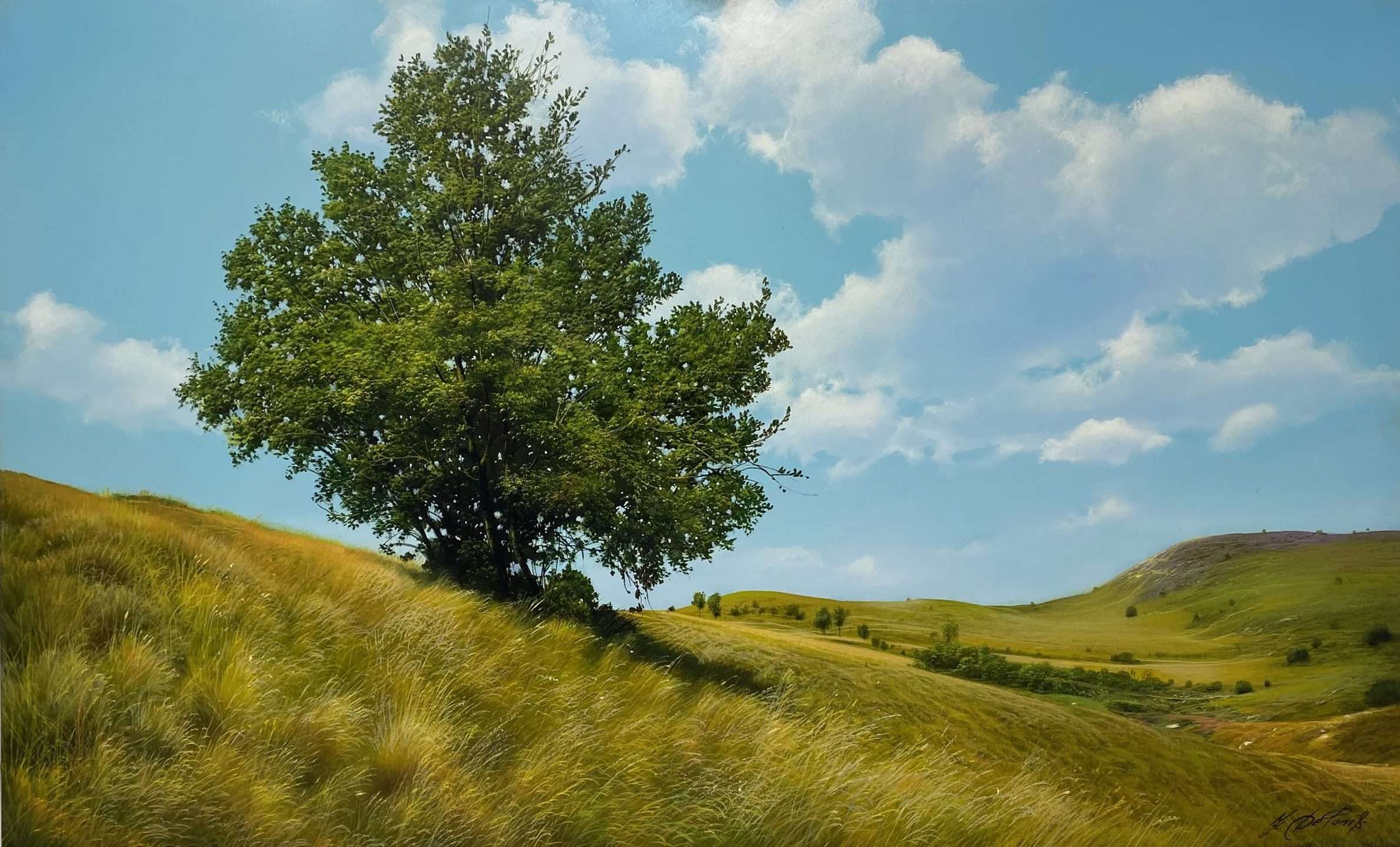 Creto Towards Monte Alpe – Daniele Comelli - Art Gallery