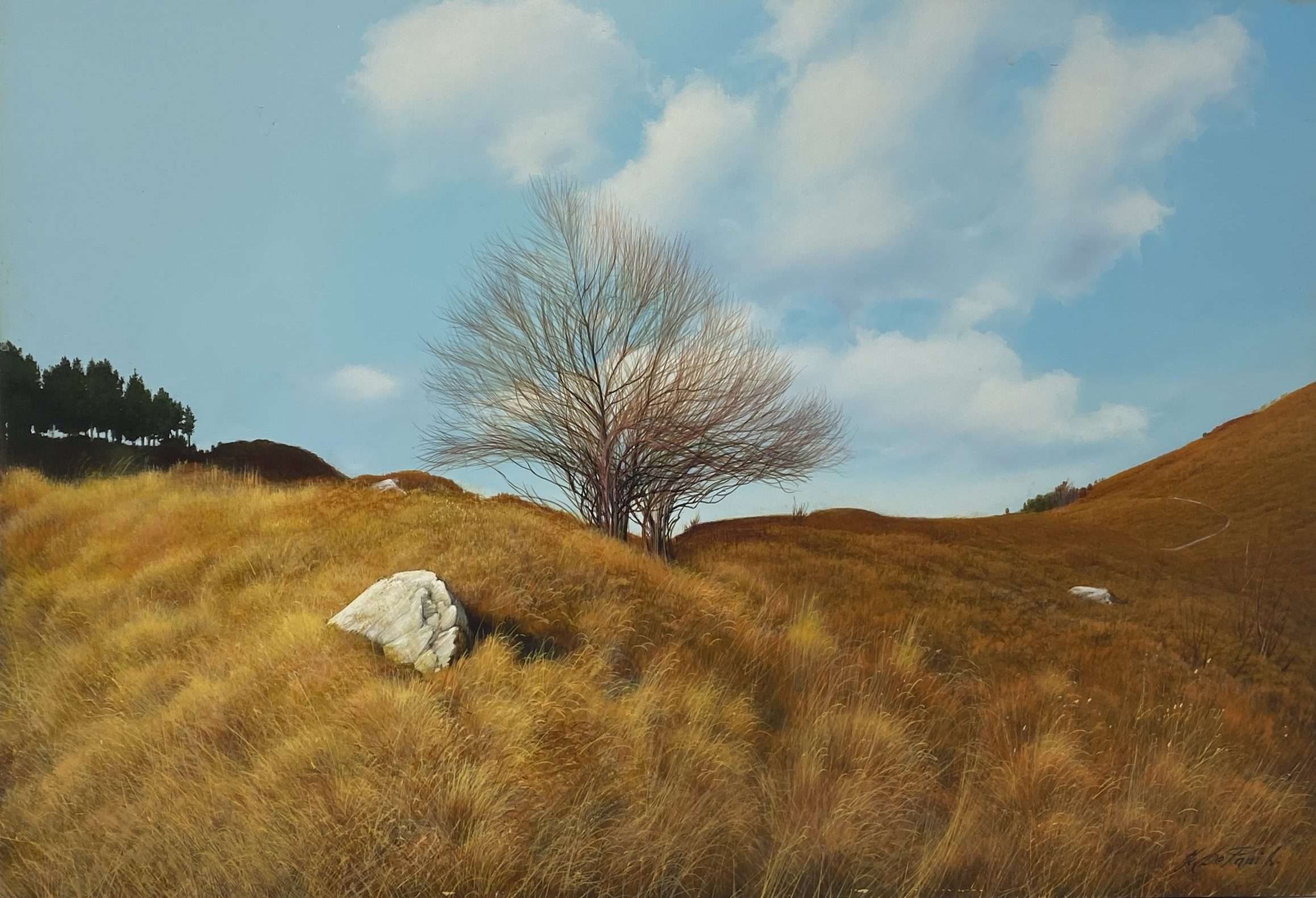 Creto Gorge of Monte Alpesisa – Daniele Comelli - Art Gallery